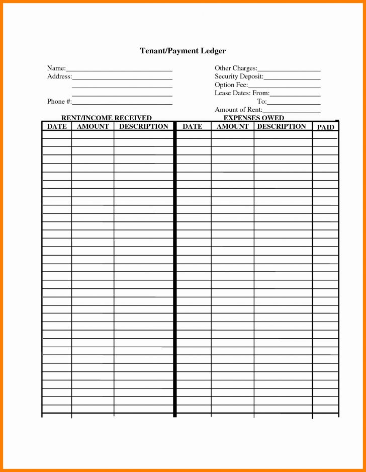 8 Rental Ledger Template Qld Ledger Review Free Printable Rent Ledger Free Printable
