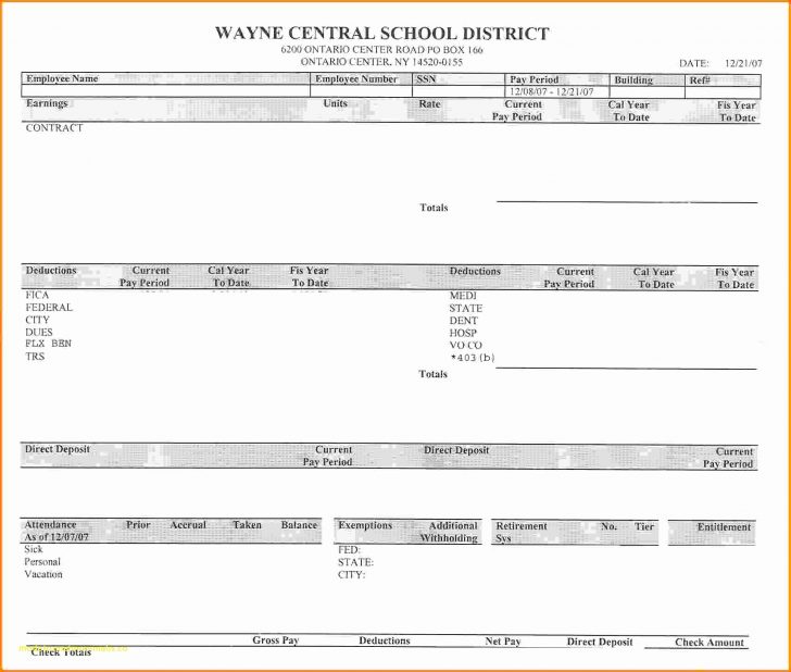 Adp Pay Stub Online Paychepay Template New Free Printable Check Free 