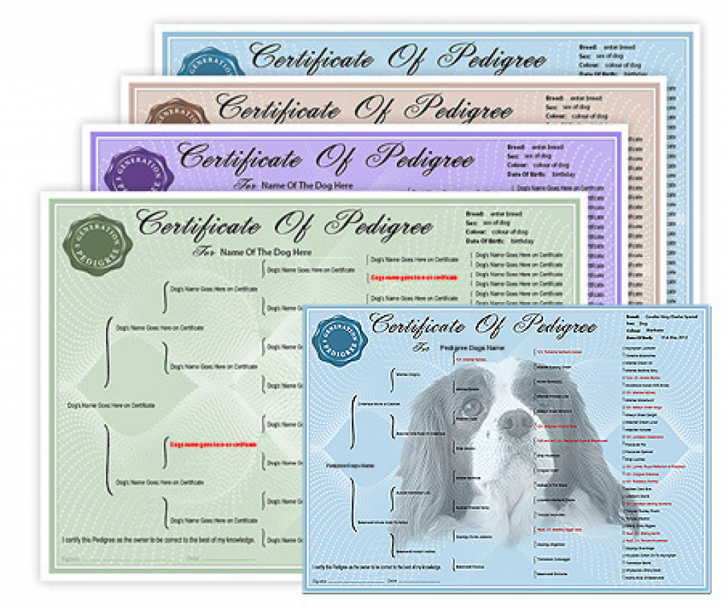 Free Printable Dog Pedigree Generator Free Printable